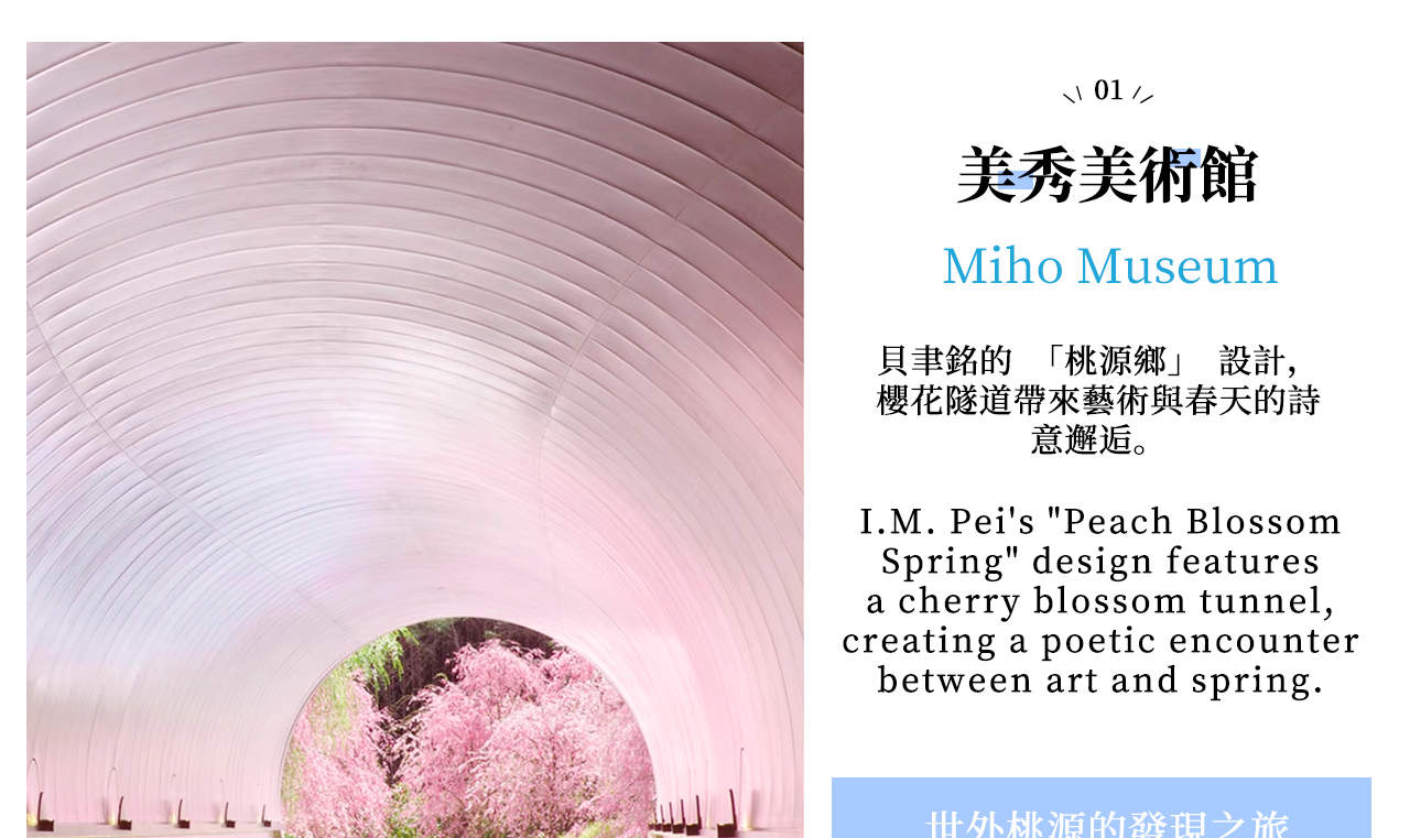 [Sakura Season Limited] Miho Museum × Mii-dera Temple Night Cherry ...